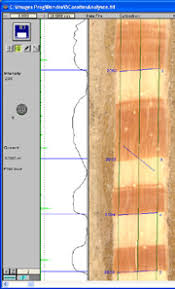 WinDENDRO | Wetec Private Limited