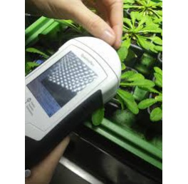 Decagon LP-80 Ceptometer | Wetec Private Limited